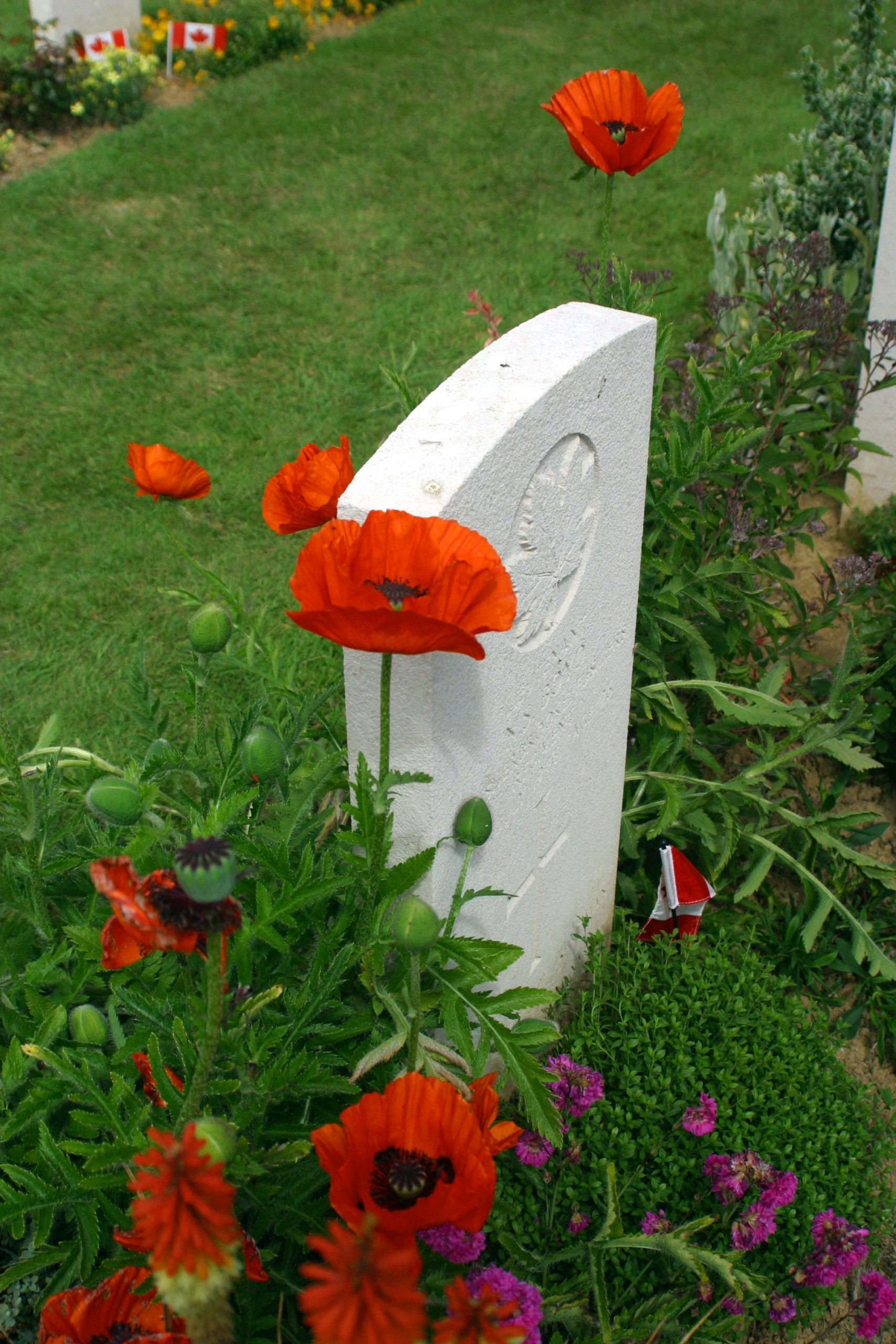 Vimy Ridge - Canadian Personal Finance Blog